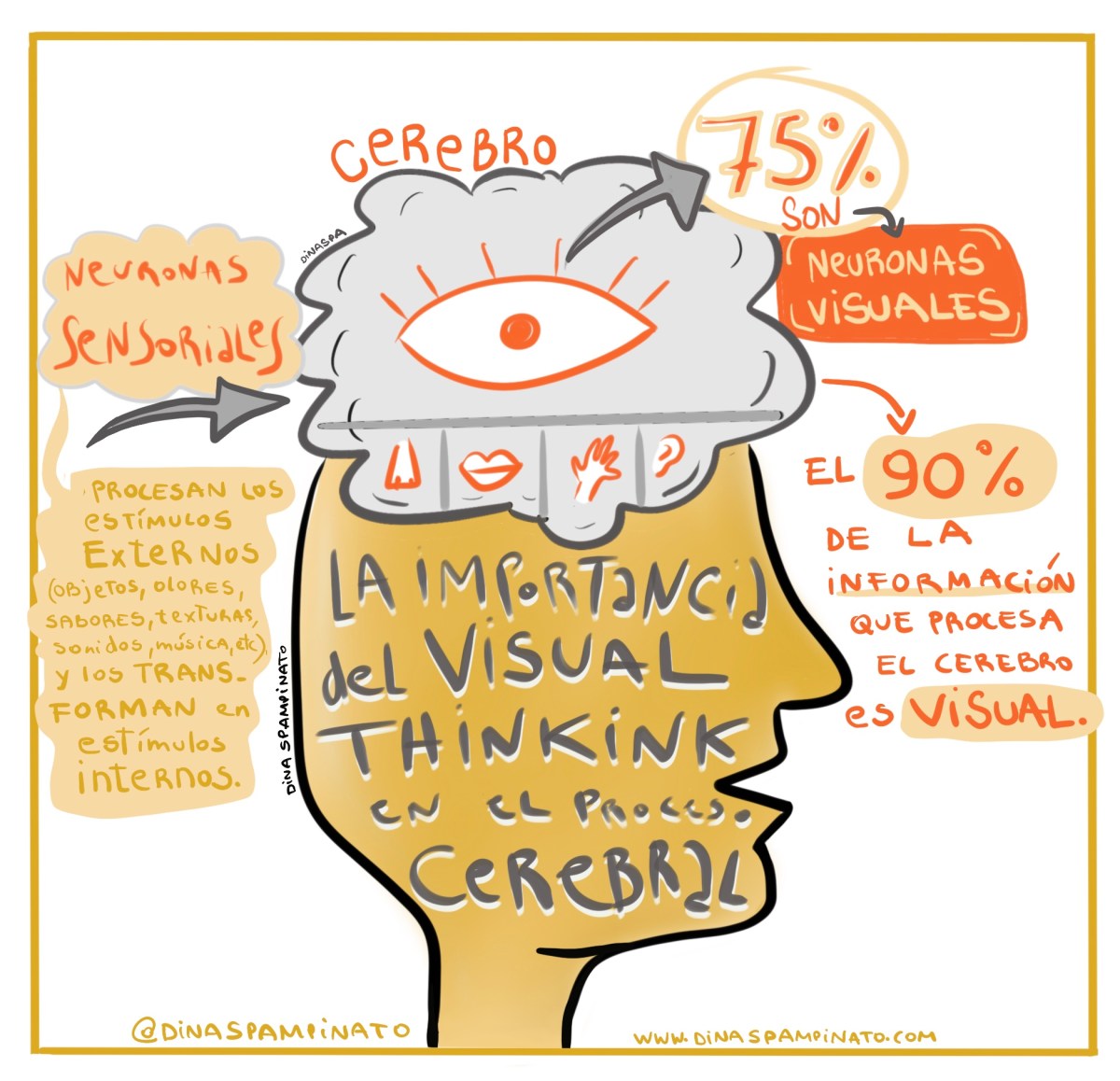 Cómo aprovechar el poder de nuestro cerebro. – DINA SPAMPINATO